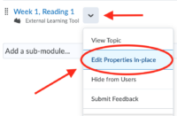 Creating Hypothesis-Enabled Readings in D2L Brightspace : Hypothesis