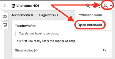 How to Preview the Hypothesis Notebook : Hypothesis