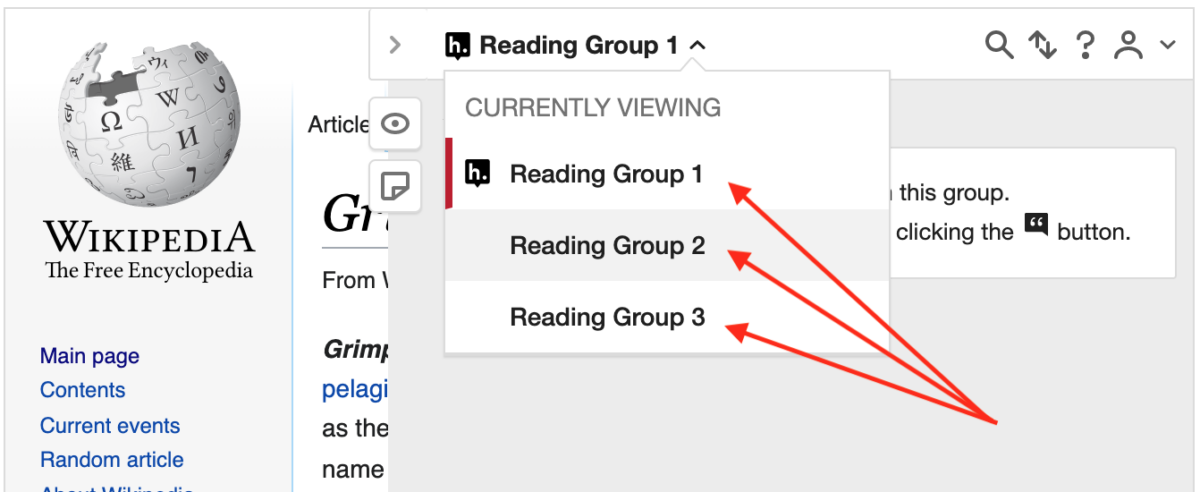 Using Canvas Groups to Create Hypothesis Reading Groups : Hypothesis